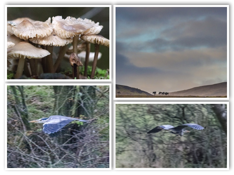 Fidgeting – 29 November 2016 – My Photo Blog